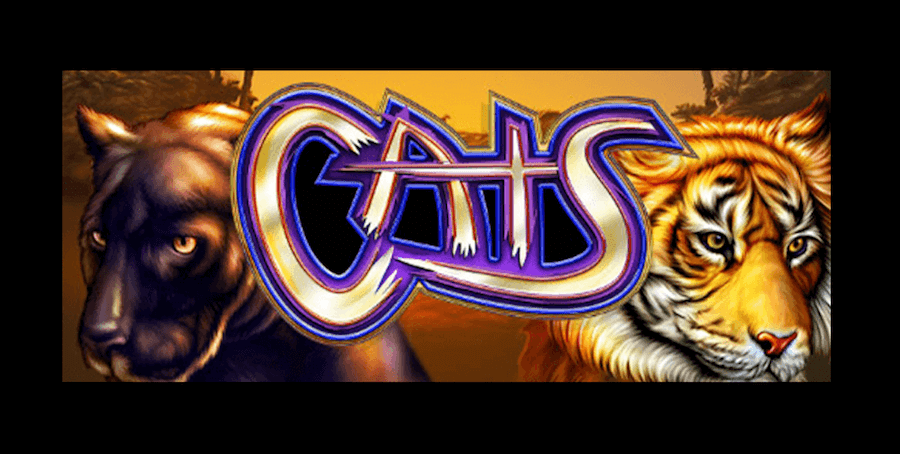 Cats Slot Free Play & Review | CasinoTalk